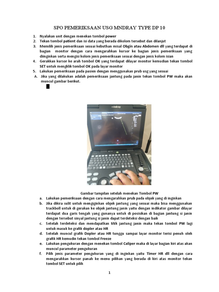 Spo Pemeriksaan Usg Mndray DP 10 | PDF