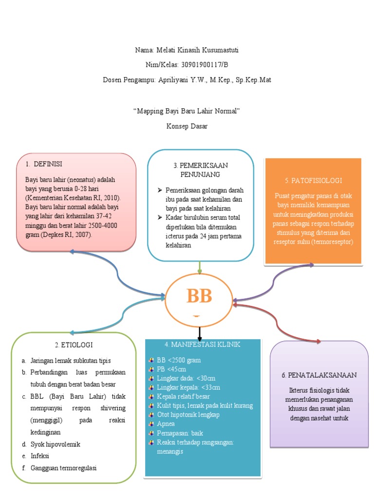 BBL (Bayi Baru Lahir) Normal - Melati Kinasih K | PDF
