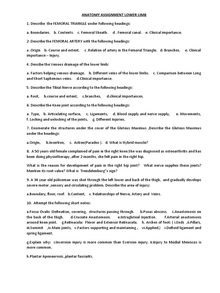 Anatomy Assignmentnew Microsoft Office Word Document | PDF