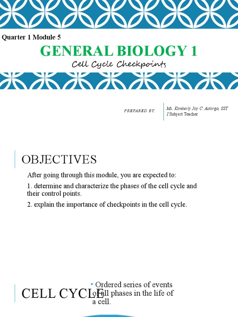 Cell Cycle Checkpoints Explained | PDF | Cell Cycle | Macromolecules