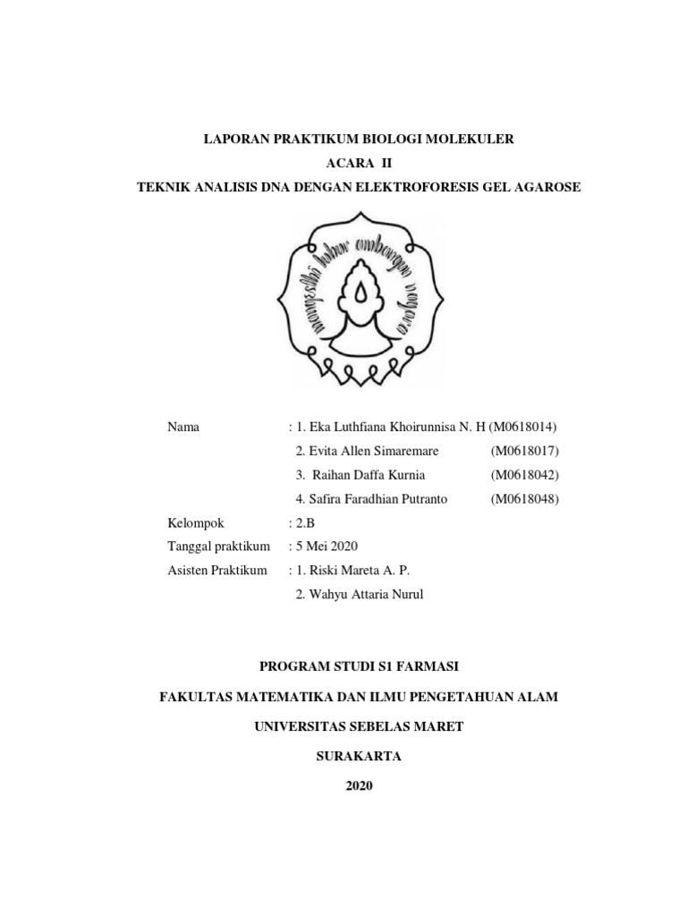 2B - P2 - Teknik Analisis Dna Dengan Elektroforesis Gel Agarose | PDF
