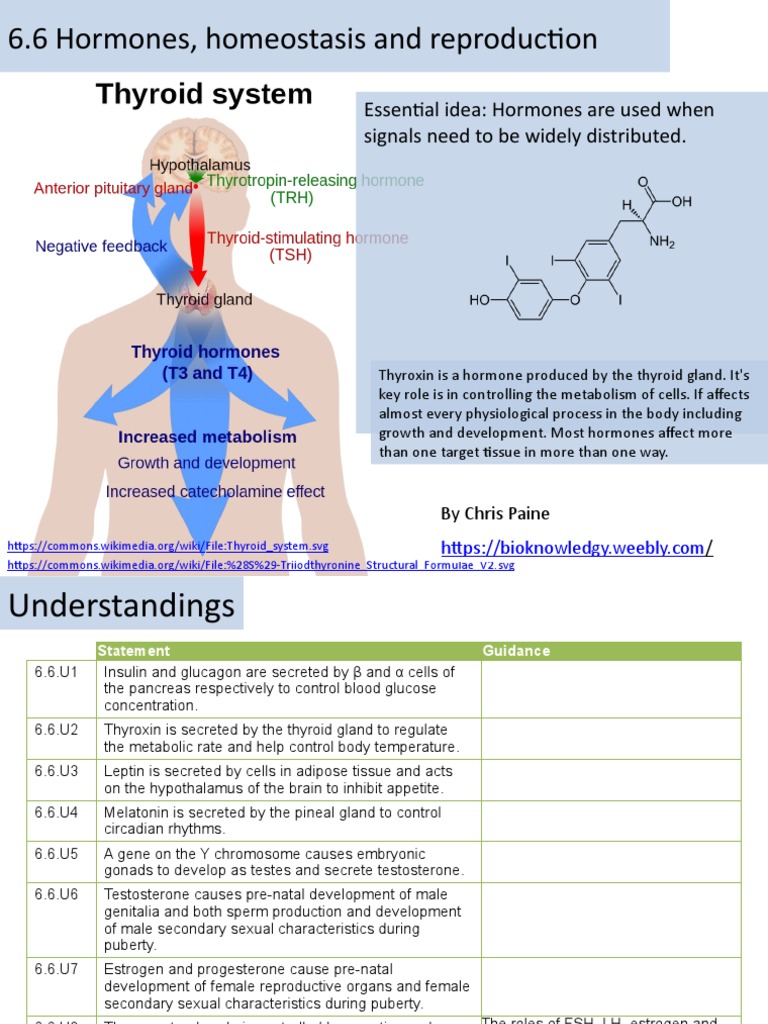 6.6 Hormones, Homeostasis and Reproduction: Essential Idea: Hormones ...