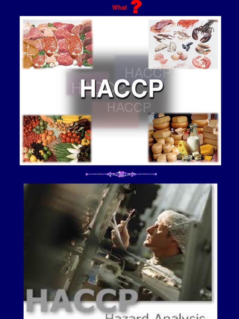 GMP & Haccp | PDF