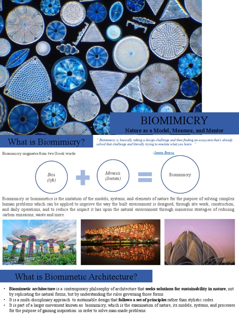 Biomimicry: Nature As A Model, Measure, and Mentor | Download Free PDF ...