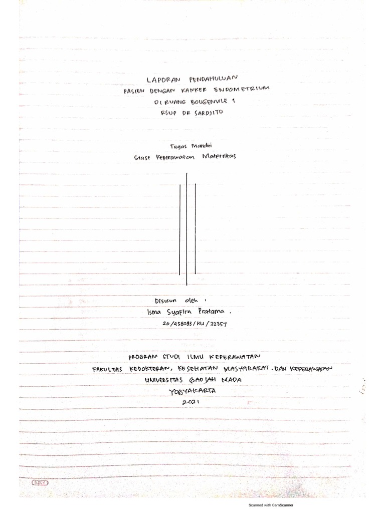 Isma - LP CA Endometrium Scan | PDF