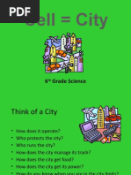 Cell City Analogy Worksheet | PDF | Cell (Biology) | Organelle