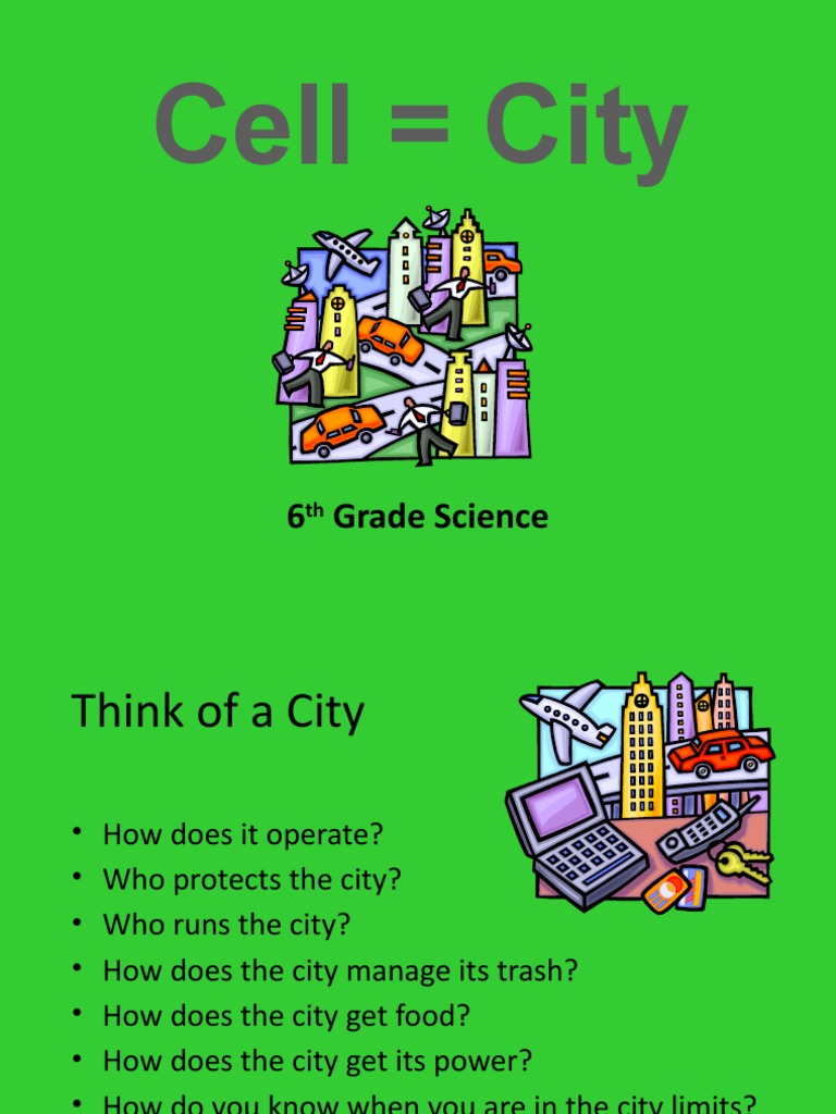 Cell City Analogy | PDF | Cell Nucleus | Cell (Biology)