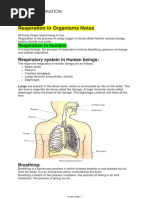 Respiratory System Grade 5 Study Guide | PDF | Lung | Respiratory System