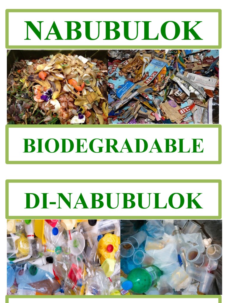 Basura Signage | PDF