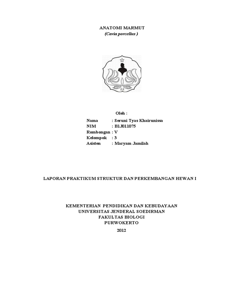 Anatomi Marmut | PDF