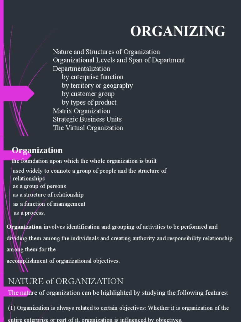 Nature and Structures of Organization | PDF | Business | Economies