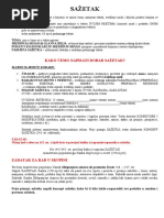 Primjer Seminarskog Rada | PDF