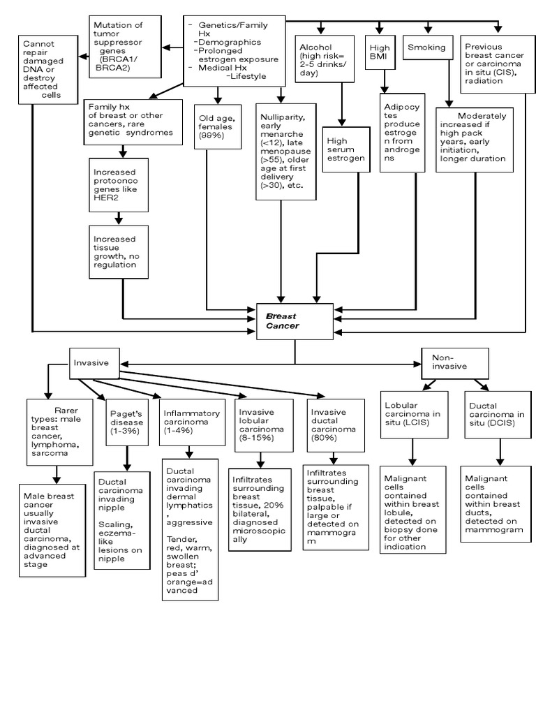 Breast Cancer Pathophysiology Overview | PDF | Breast Cancer | Carcinoma