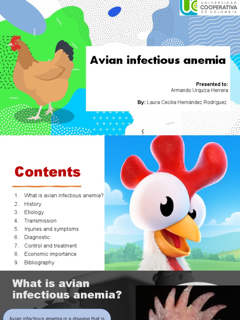 Anemia Infecciosa Aviar | PDF | Infection | Medicine