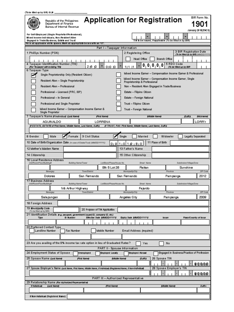 Application For Registration: Taxpayer Identification Number (TIN ...
