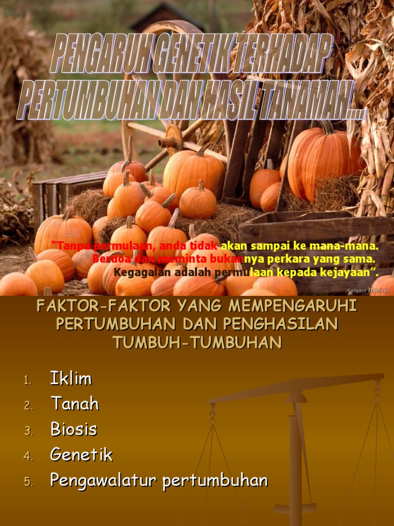 Kuliah 7 - Faktor Genetik Yang Mempengaruhi Pertumbuhan Dan Hasil ...