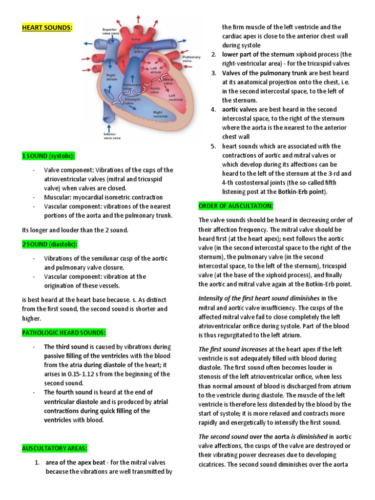 Heart Sounds Guide | PDF | Heart Valve | Diastole