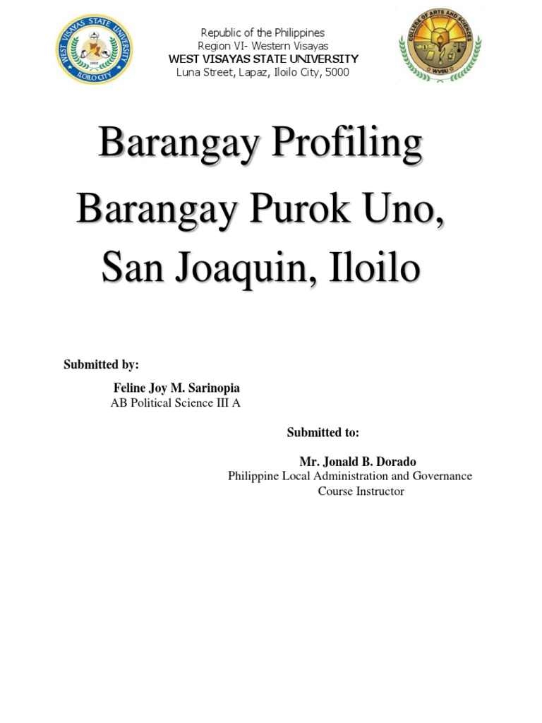 Midterm Activity Barangay Profiling | PDF