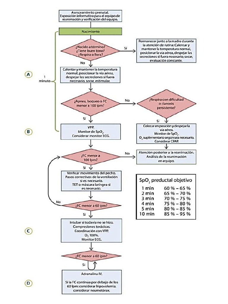 Algoritmo RCP Neonatal | PDF