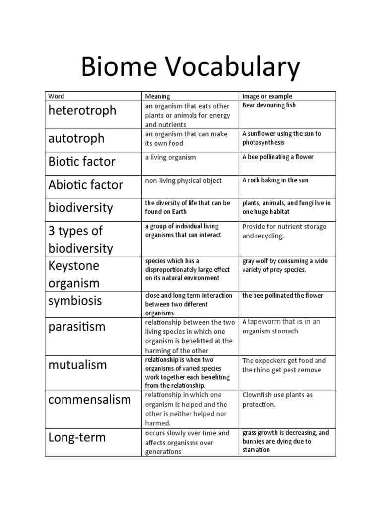 Biome Vocabulary | PDF