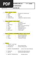 Buffalo Concussion Treadmill Test Guide | PDF | Concussion | Heart Rate