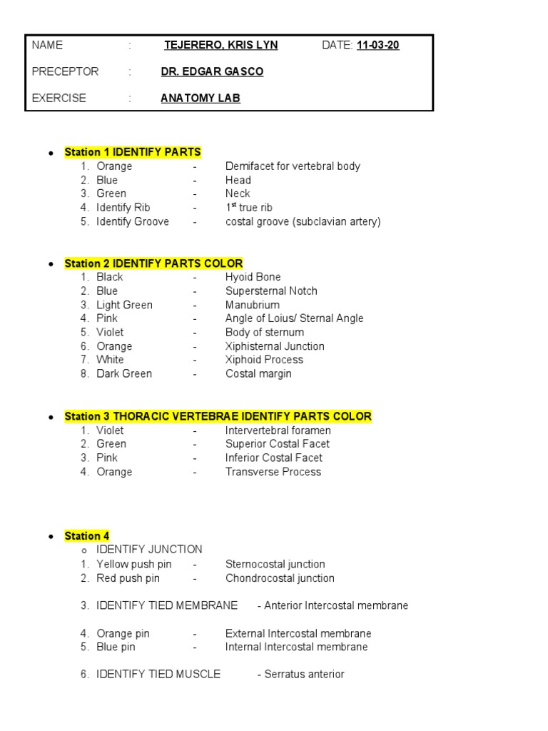 Dr. Edgar Gasco Anatomy Lab | Download Free PDF | Vertebra | Vein