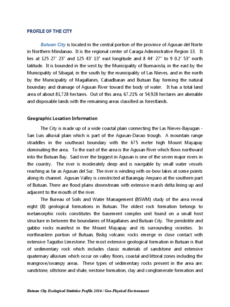 LCCAP Lgu Profile (Writeup) | PDF | River | Sedimentary Rock