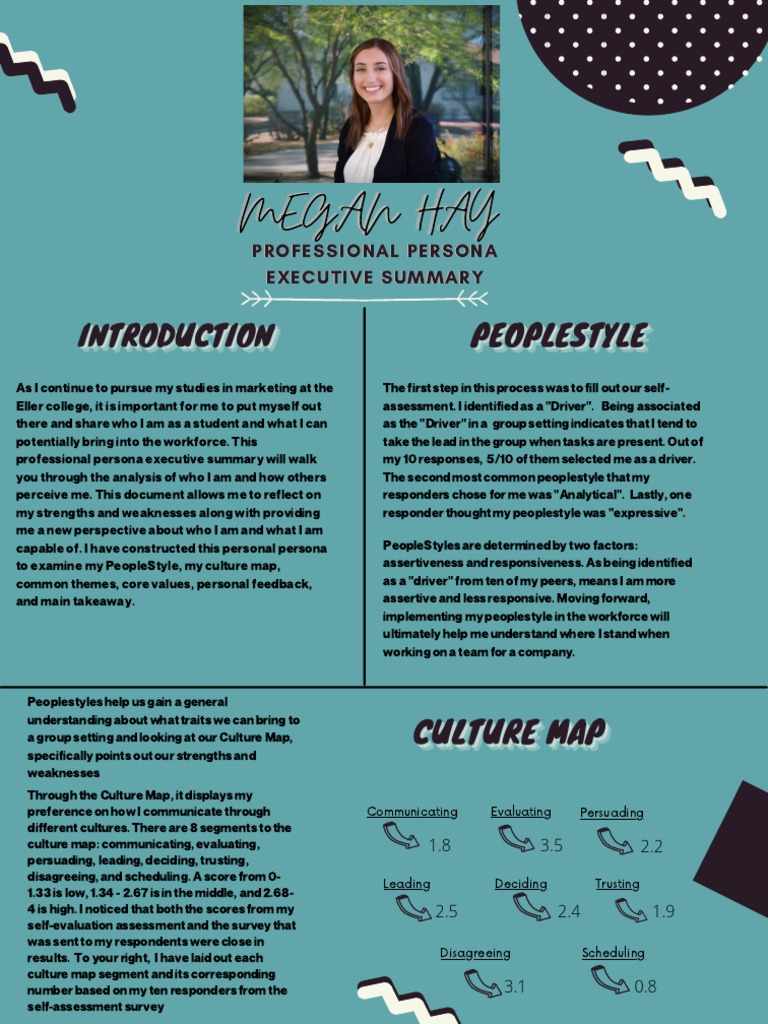 Megan Hay Professional Persona Executive Summary Final | PDF | Social ...