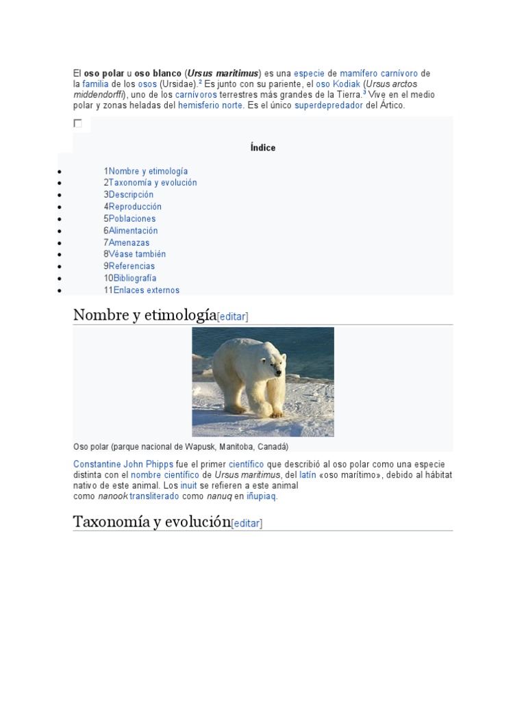 Taxonomía y características del oso polar | PDF | Oso polar | Osos