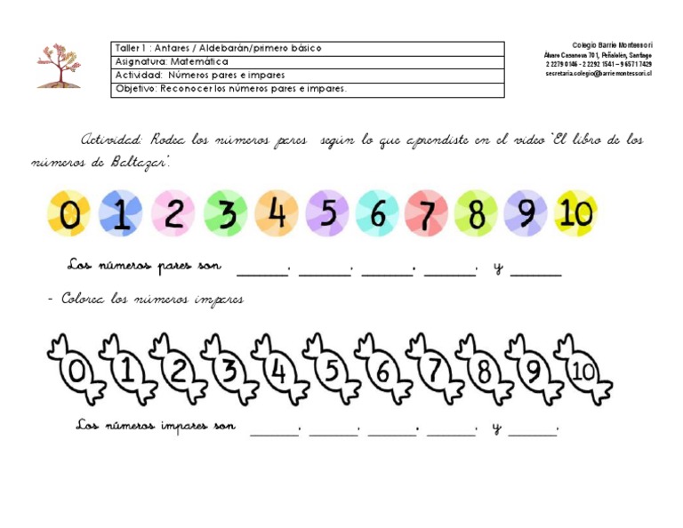 Números Pares e Impares | PDF
