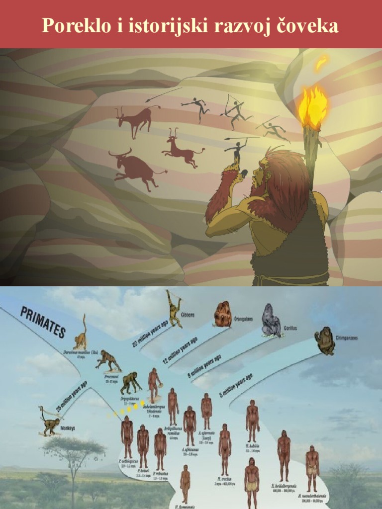 Poreklo I Istorijski Razvojoveka | PDF