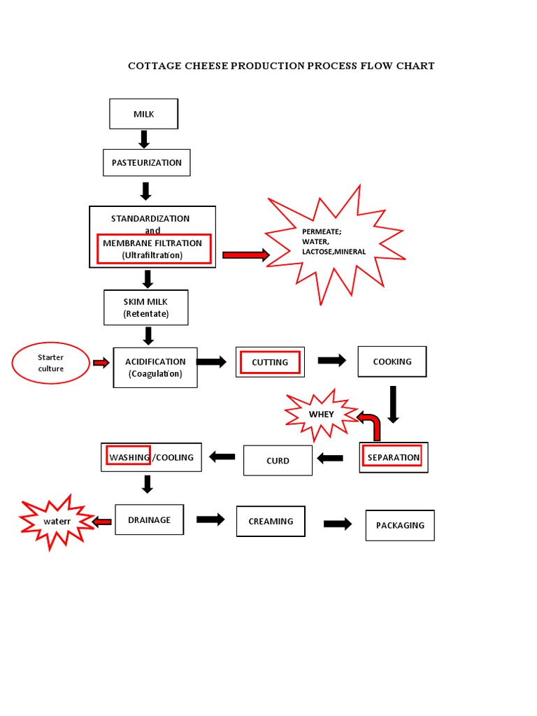 How Cheese Is Made Flowchart