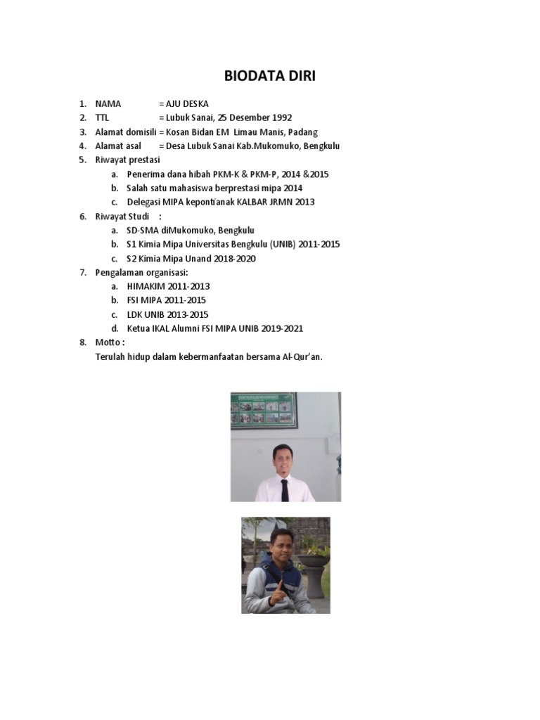 CV Aju Deska Ok | PDF