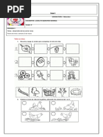 Ciclo de Vida de La Planta y Animales | PDF | Hogar, jardinería y ...