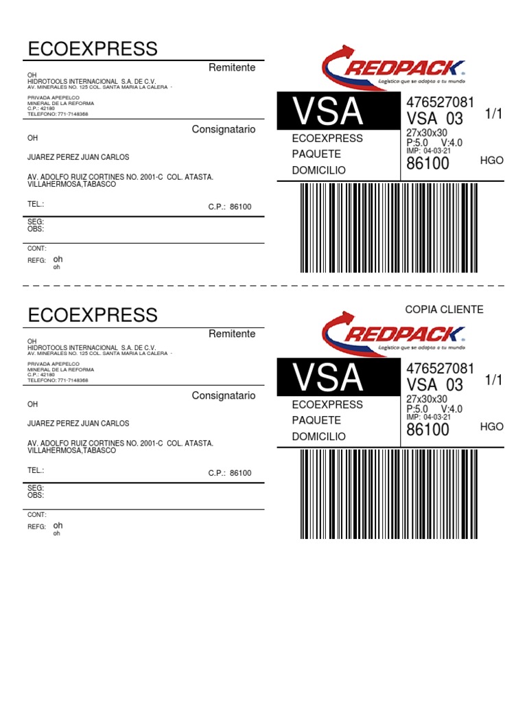 Guia - Redpack - 2021-03-04T132053.687 | PDF | Gobierno