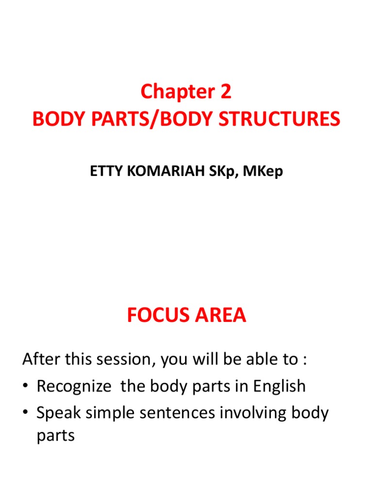 Body Parts - 2 | Download Free PDF | Abdomen | Organ (Anatomy)