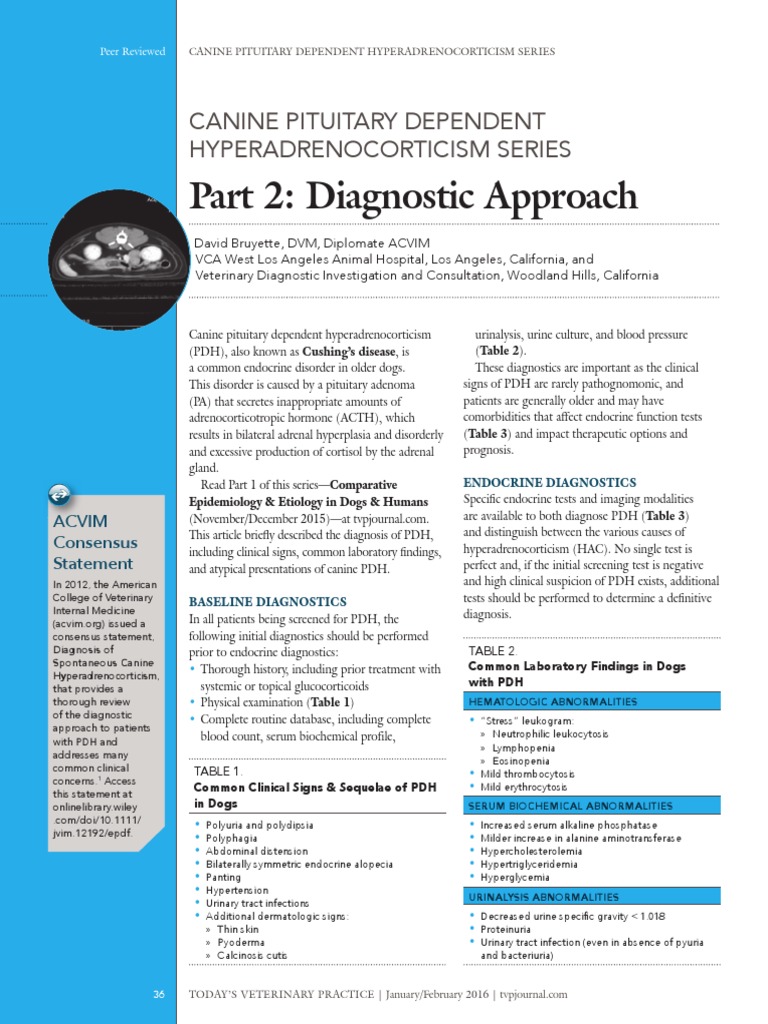 Canine Cushing's Disease Diagnosis Guide | PDF | Adrenocorticotropic ...