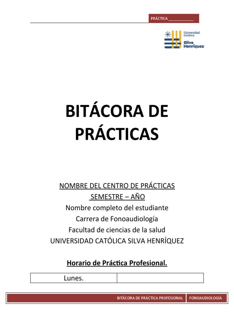 Formato de Bitácora Práctica Profesional FA UCSH | PDF