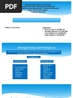 REDUPROST DUO Prospecto Profesionales RAFFO | PDF | Antígeno específico ...