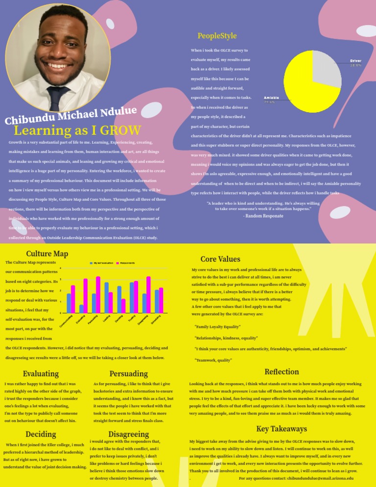 Professional Persona Summary | PDF | Value (Ethics) | Feeling Professional Persona Summary | PDF | Value (Ethics) | Feeling