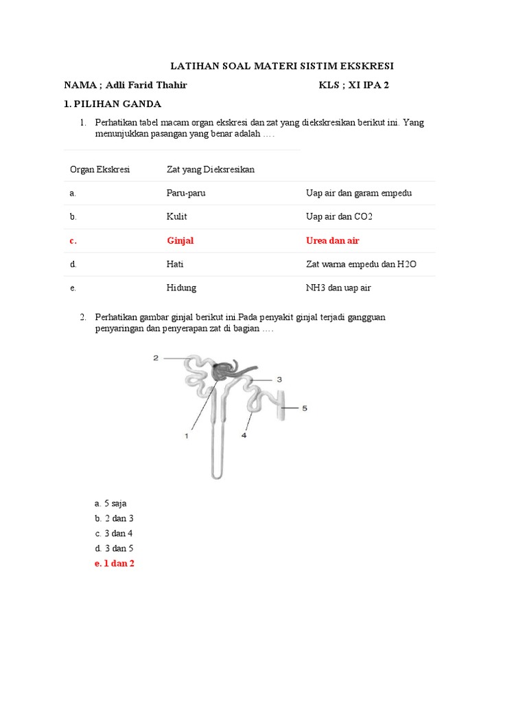 Latihan Soal Materi Sistim Ekskresi BDR (Adli Farid Xi Mipa 2) | PDF