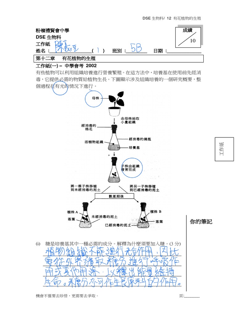 NSS Bio Ch12 WS1 C | PDF