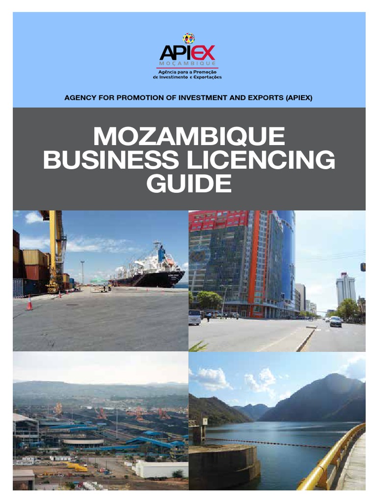 Business Licence Guide en | PDF | Identity Document | License