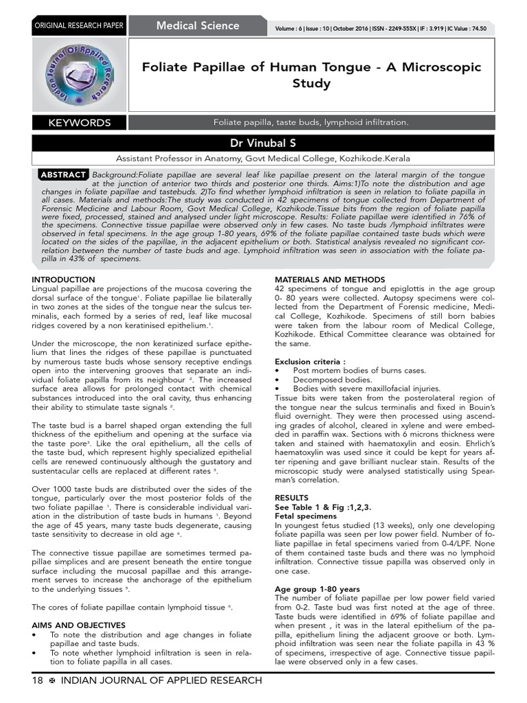 Papila Foliata 2 | PDF | Tongue | Anatomy