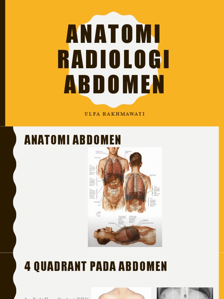 Anatomi Radiologi Abdomen | PDF
