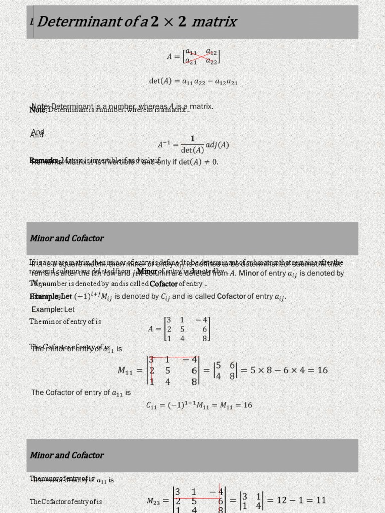 Determinant of A Matrix | PDF | Determinant | Matrix (Mathematics)