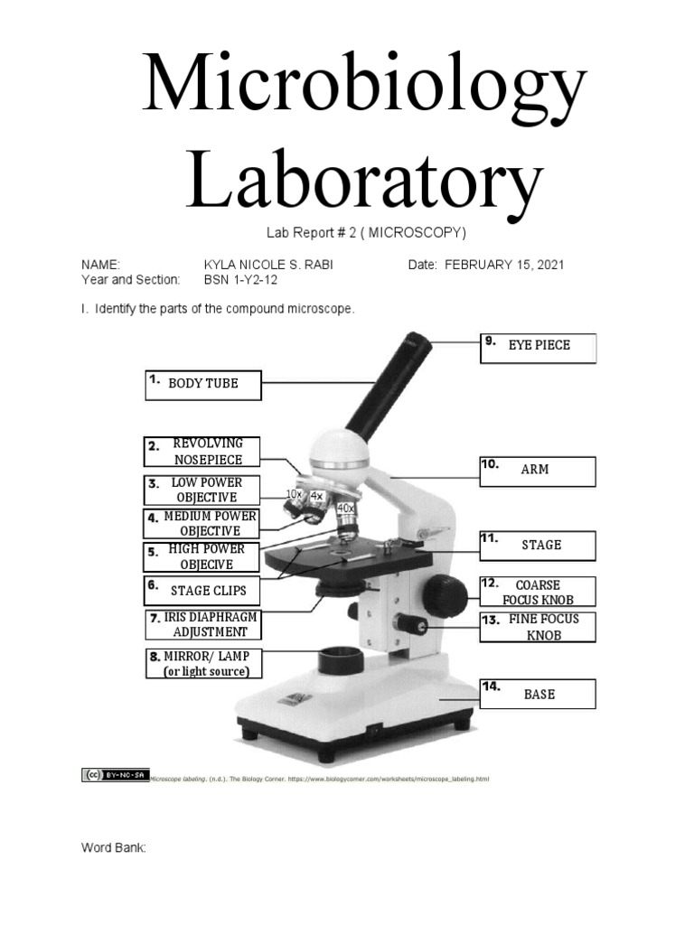 Microbiology Laboratory (Microscopy) | PDF | Equipment | Applied And ...