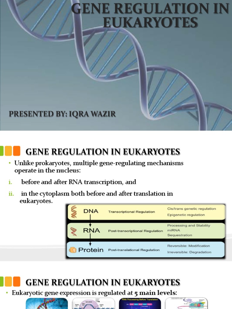A Comprehensive Overview of the Multi-Level Mechanisms of Gene ...
