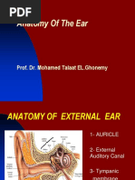 Lesson 1 The Human Ear Labelled Structure Overview Poster | PDF