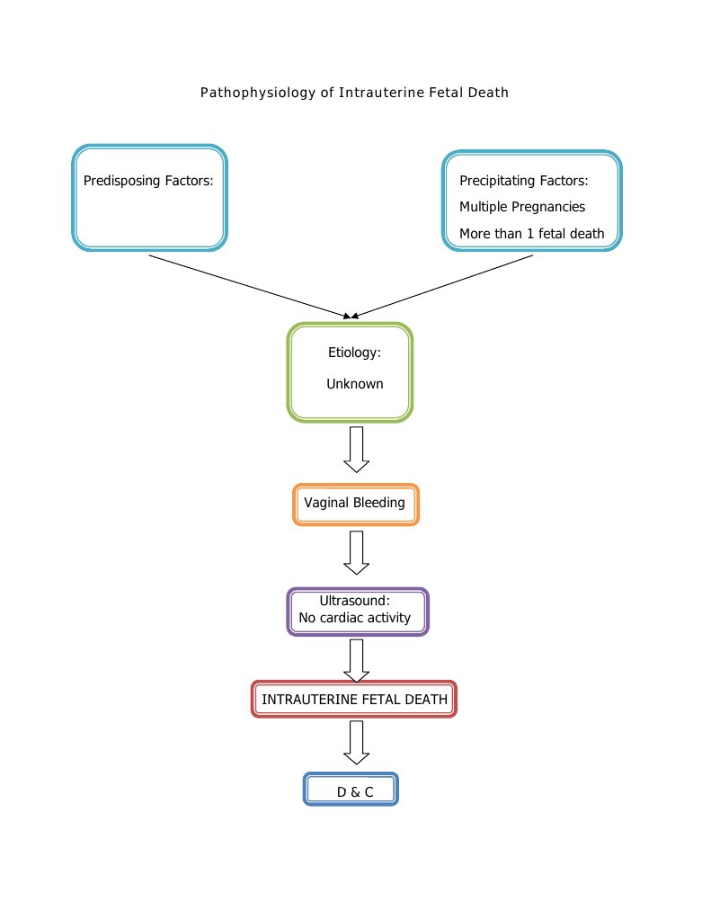 Pathophysiology of Intrauterine Fetal Death | PDF